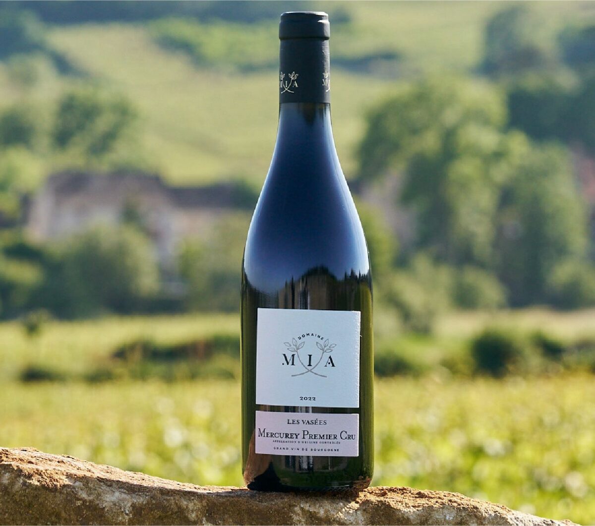 Mercurey Red Wines: A Gem in Burgundy | Domaine Mia